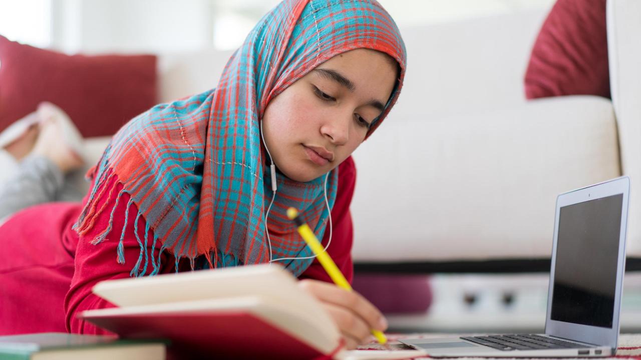 Capstone SDGs Global Seminar | UC Davis Pre-College Program